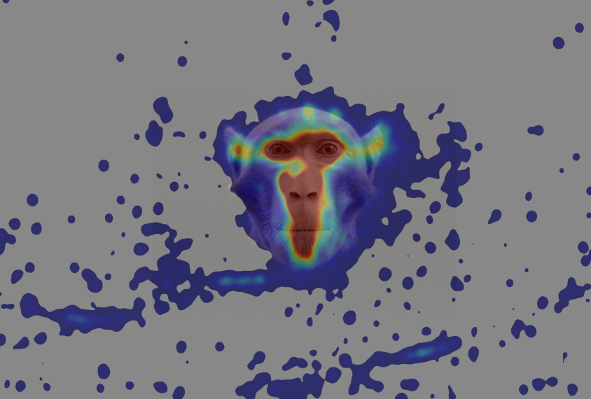 Monkey avatar may provide clues to face-processing problems in autism ...