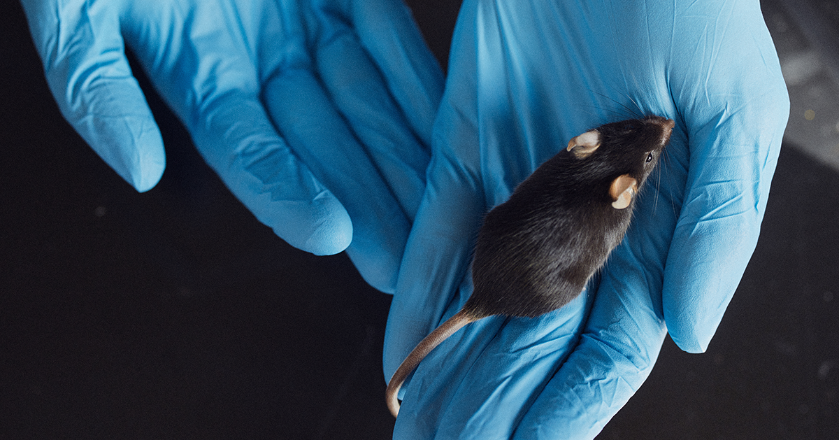 Cognition and behavior: Seizures may spark social deficits | The ...