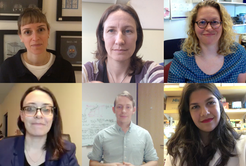 Pitch your thesis: Big questions drive autism research | The ...