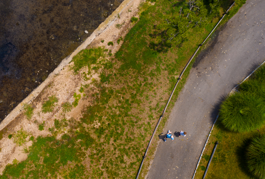 Beyond the bench: A conversation with Tony Zador | The Transmitter ...