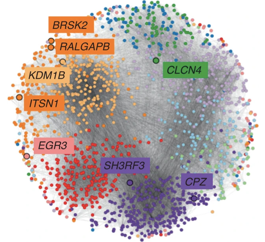 Spotted around the web: FOXP1 syndrome, personal space, autism gene ...