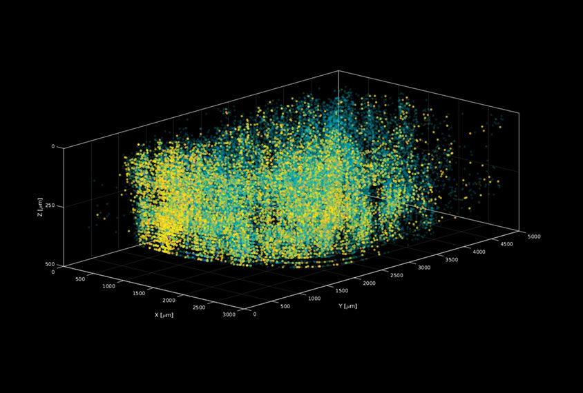 ‘Light beads’ method images activity across the mouse brain | The ...