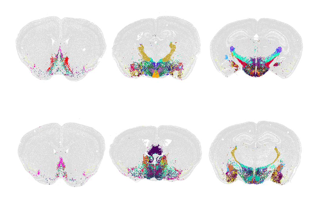 Welcome to the second single-cell revolution: New high-throughput ...