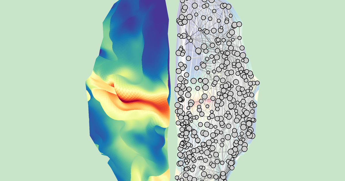 How can we fold cellular-level details into whole-brain neuroimaging ...