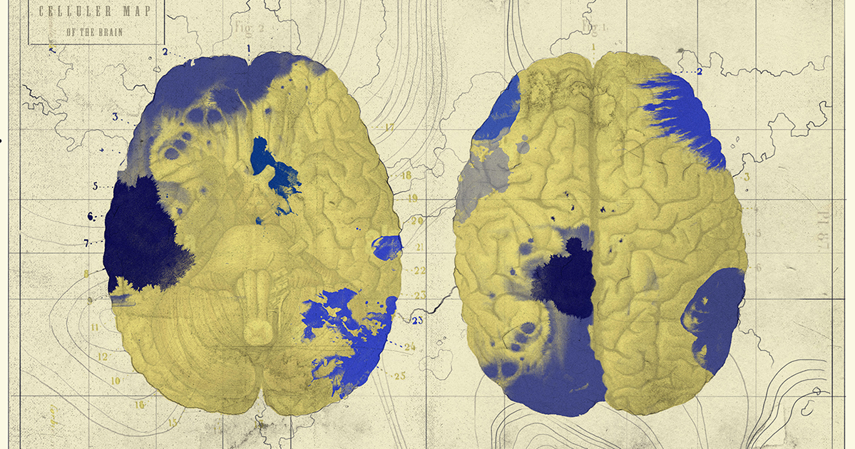 Knowledge graphs can help make sense of the flood of cell-type data ...
