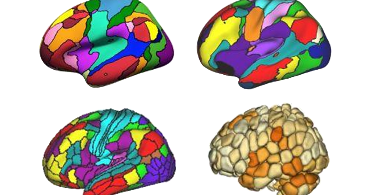 New ‘decoder’ tool translates functional neuroimaging terms across labs ...