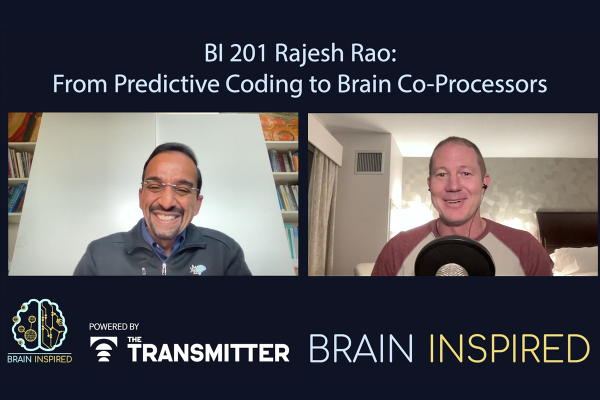 Rajesh Rao reflects on predictive brains, neural interfaces and the future of human intelligence ...