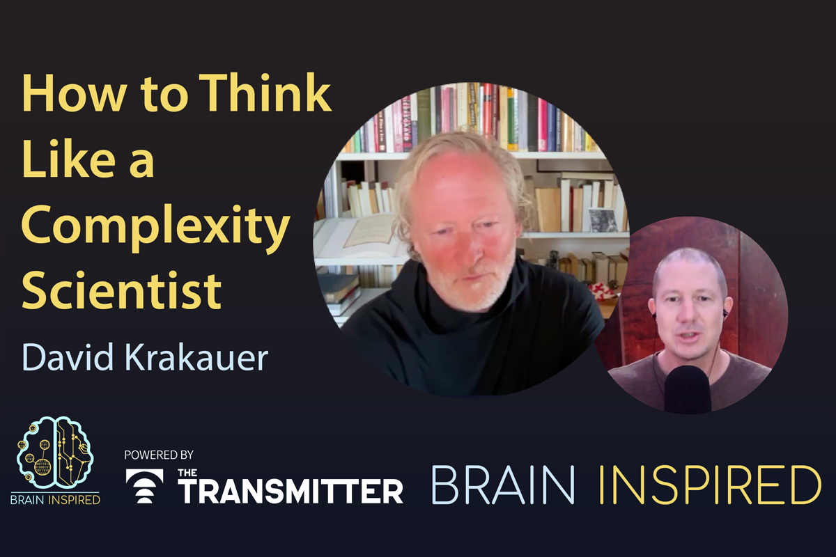 David Krakauer reflects on the foundations and future of complexity science | The Transmitter ...