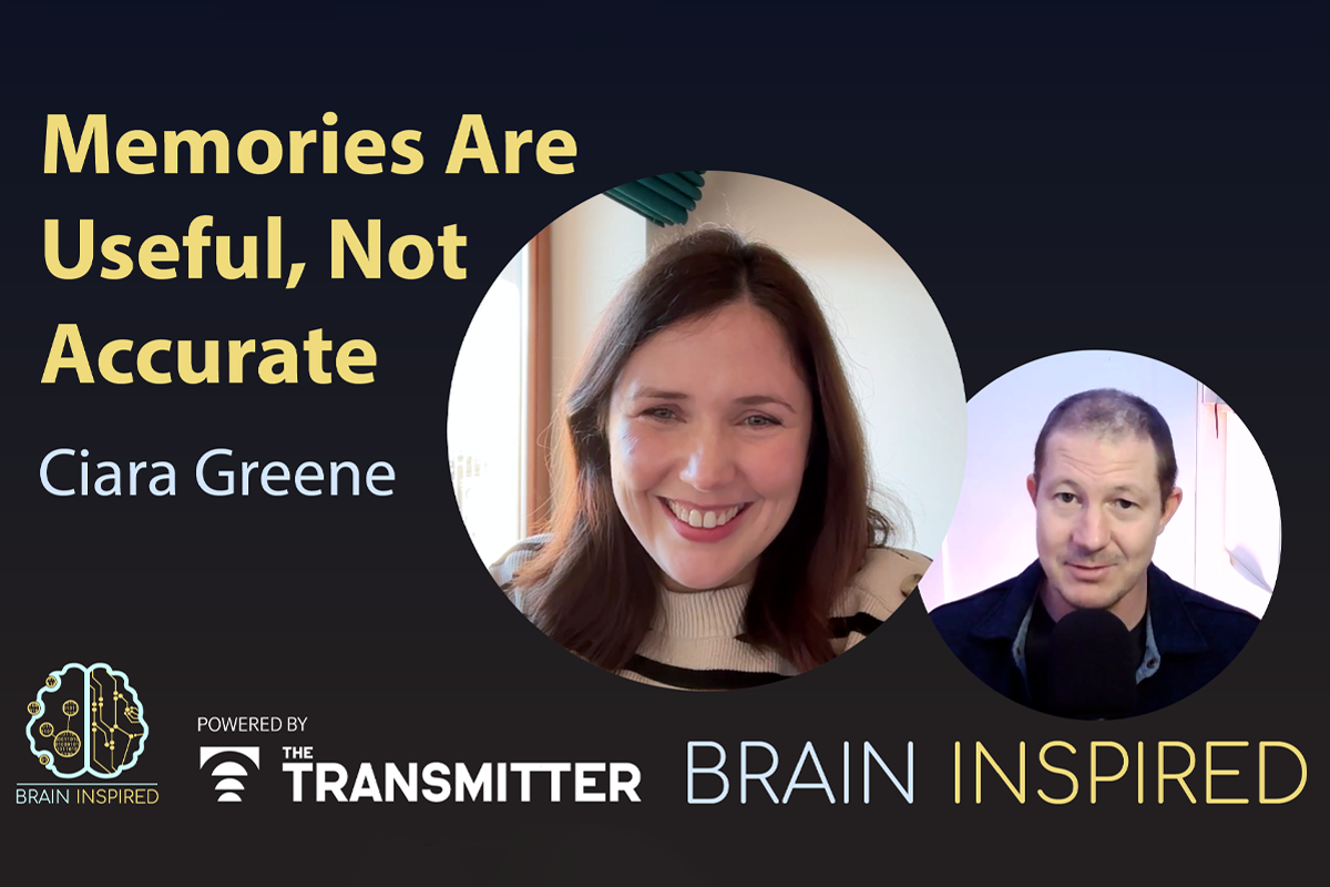 Ciara Greene on the quirks and complexities of human episodic memory ...