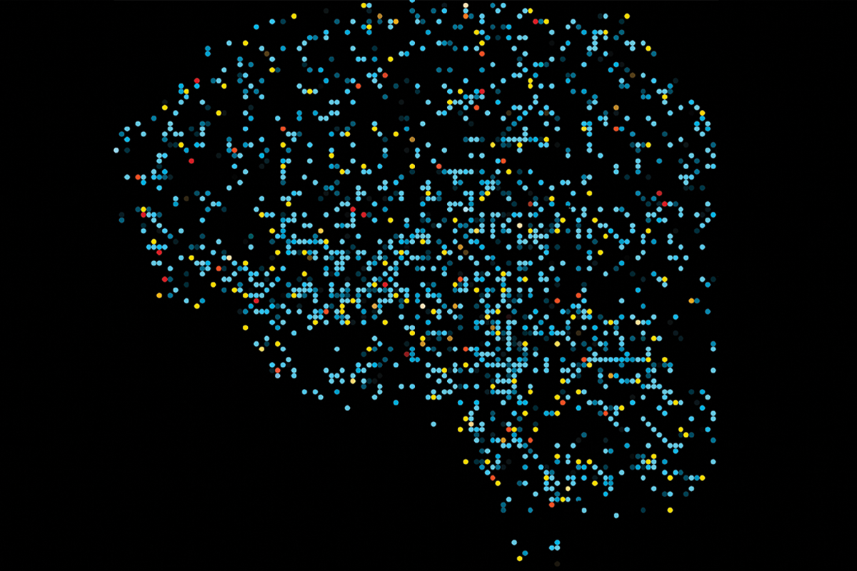 Are brains and AI converging?—an excerpt from ‘ChatGPT and the Future of AI: The Deep Language ...