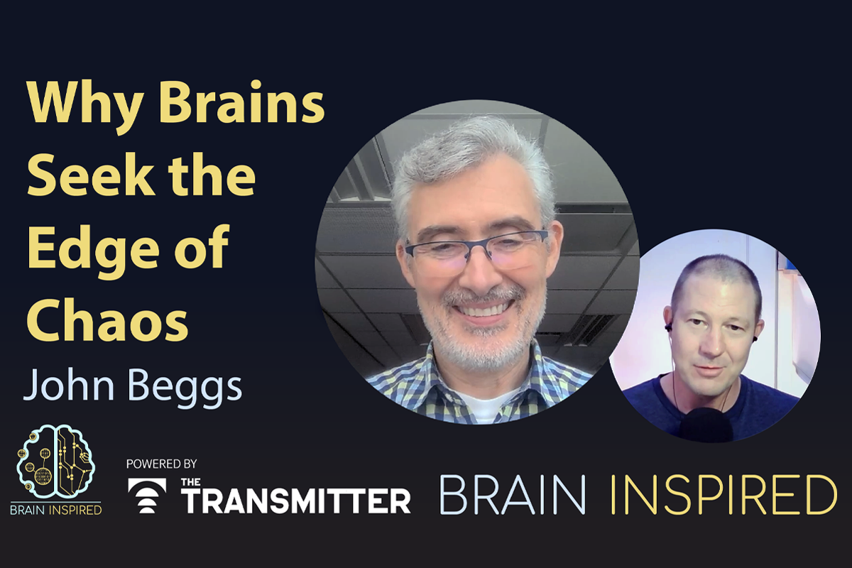 John Beggs unpacks the critical brain hypothesis | The Transmitter ...