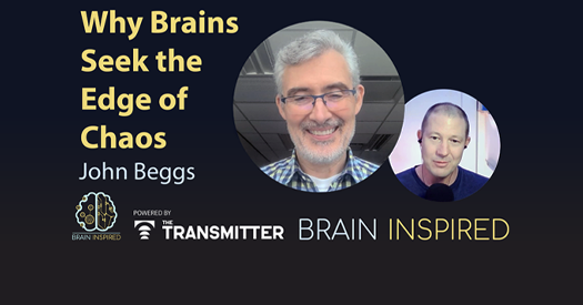 John Beggs unpacks the critical brain hypothesis | The Transmitter ...