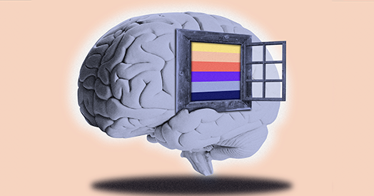 Imaging cortical layers to understand brain as network organ | The ...