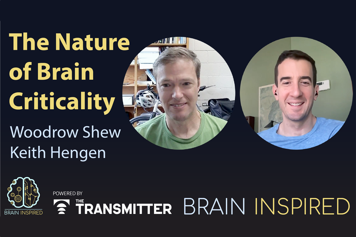 Keith Hengen and Woodrow Shew on criticality and cognition | The ...