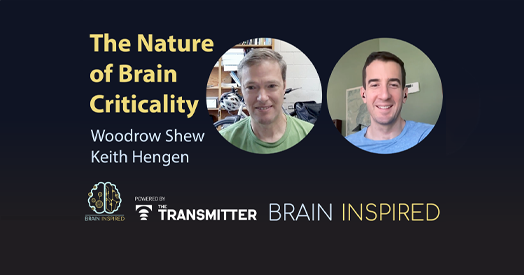 Keith Hengen and Woodrow Shew on criticality and cognition | The ...