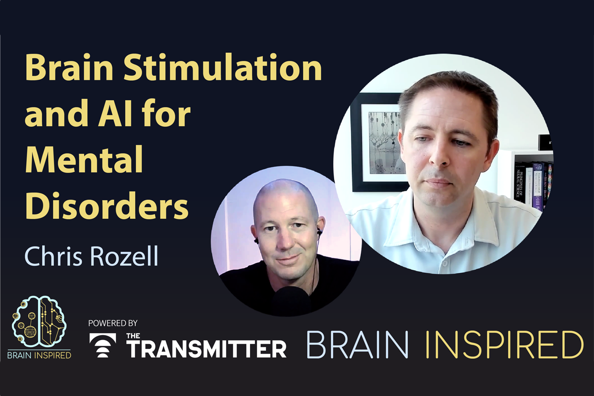 Chris Rozell on brain stimulation and AI to treat depression | The ...