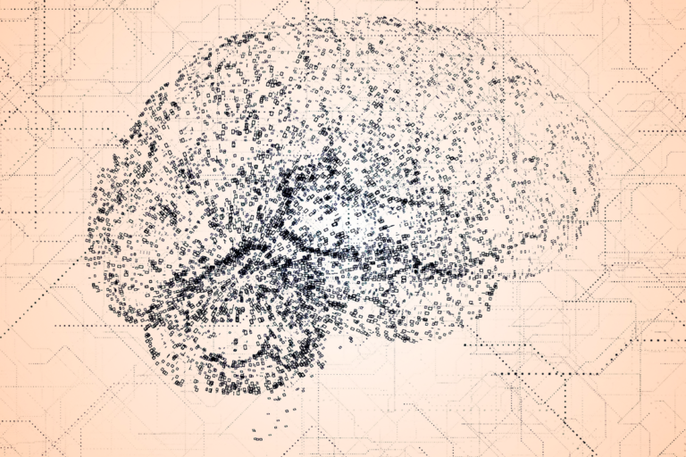 The Transmitter: Neuroscience News and Perspectives