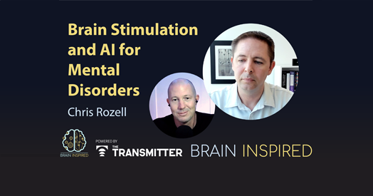 Chris Rozell on brain stimulation and AI to treat depression | The ...