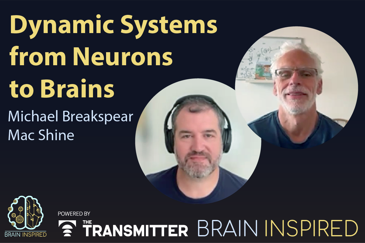Michael Breakspear and Mac Shine explain how brain processing changes across neural population ...
