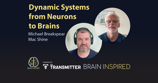 Michael Breakspear and Mac Shine explain how brain processing changes ...