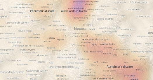Putting 50 years of neuroscience on the map | The Transmitter ...