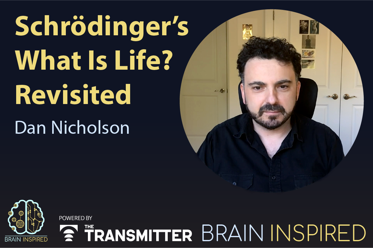Daniel Nicholson discusses how Schrödinger’s book ‘What is Life?’ shaped years of biology ...