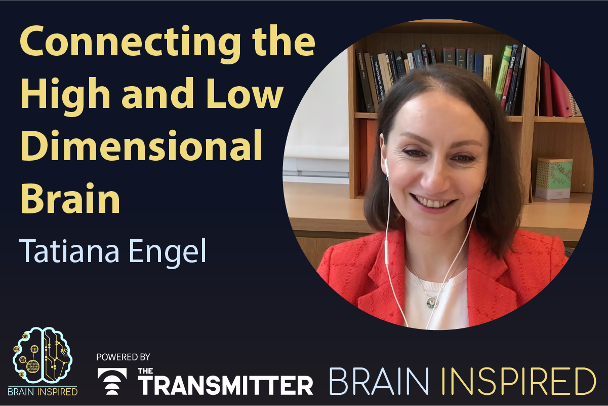 Tatiana Engel explains how to connect high-dimensional neural circuitry ...