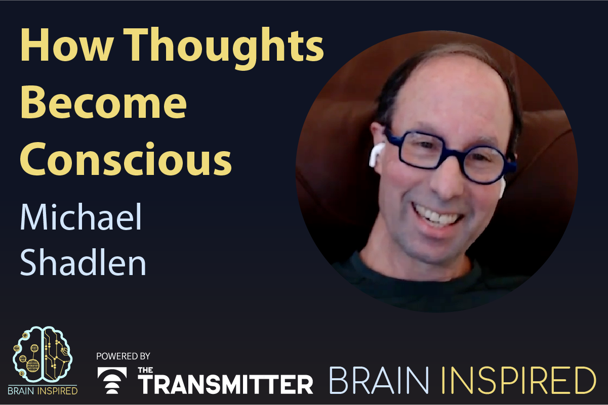 Michael Shadlen on how theory of mind ushers in consciousness | The ...