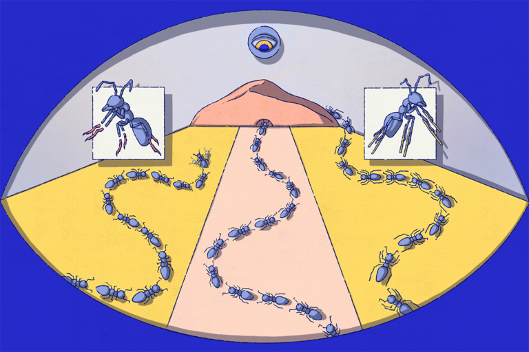 This paper changed my life: John Tuthill reflects on the subjectivity ...