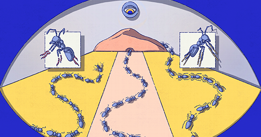 This paper changed my life: John Tuthill reflects on the subjectivity ...