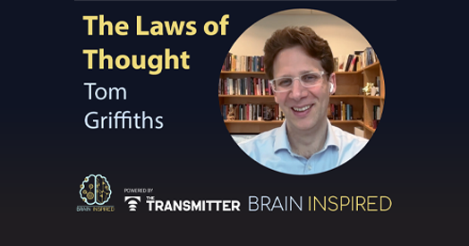 Tom Griffiths describes how neural networks, logic and probability ...