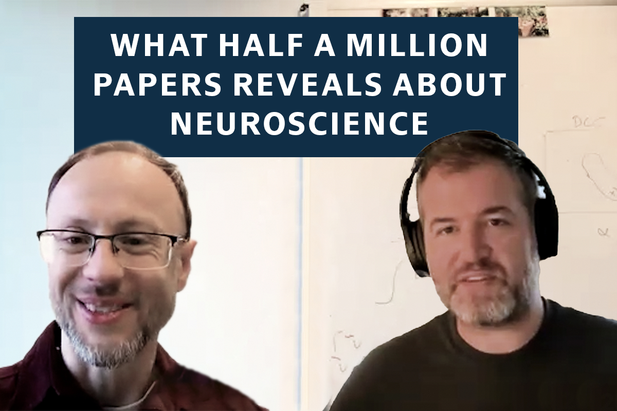 What a bird’s-eye view of half a million papers reveals about ...