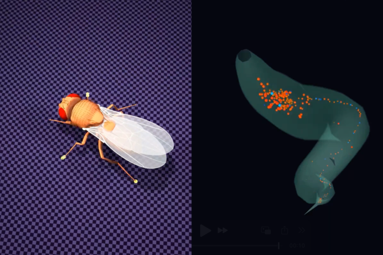 The Transmitter: Neuroscience News and Perspectives