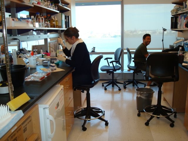 Gordon Fishell: Oracle’s gift to autism | The Transmitter: Neuroscience ...